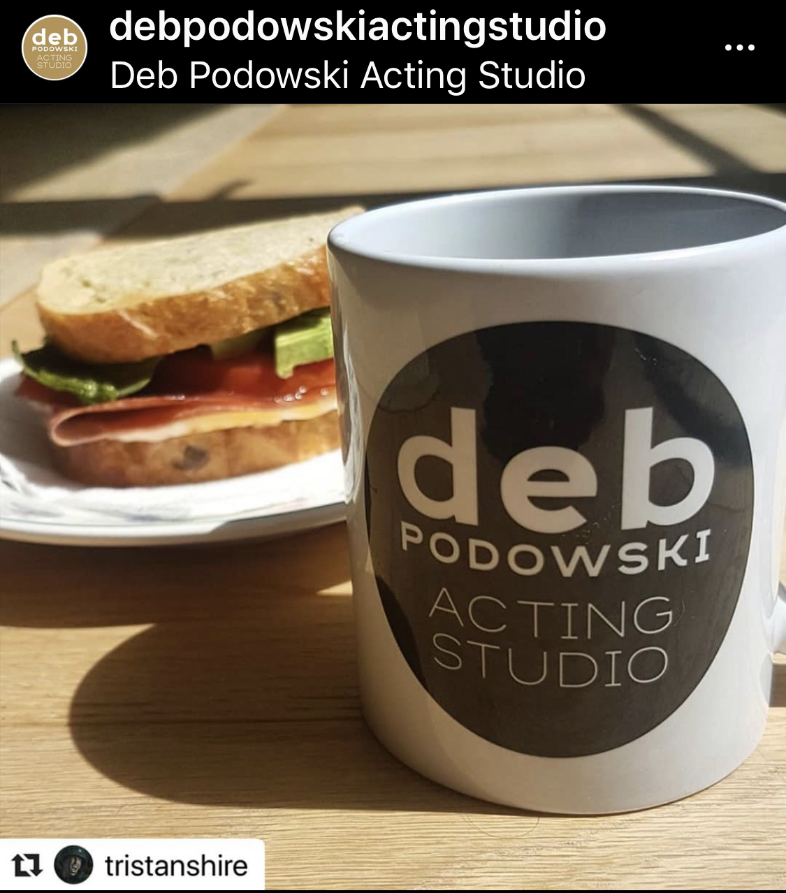 Shop Model Tristans sandwich - Deb Podowski Acting Studio (DPAS)